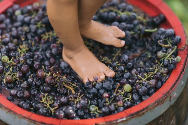 5 grounding techniques for your child - The Paediatric Naturopath